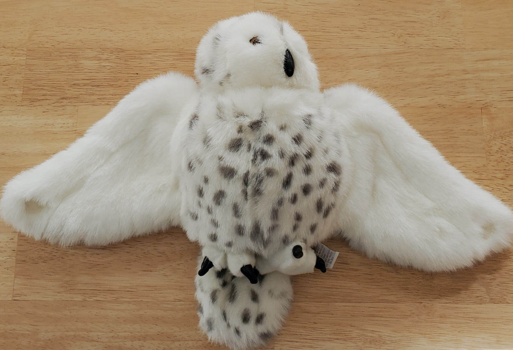 Using Puppets for Vocal Play in the Music Classroom - The Music Crew